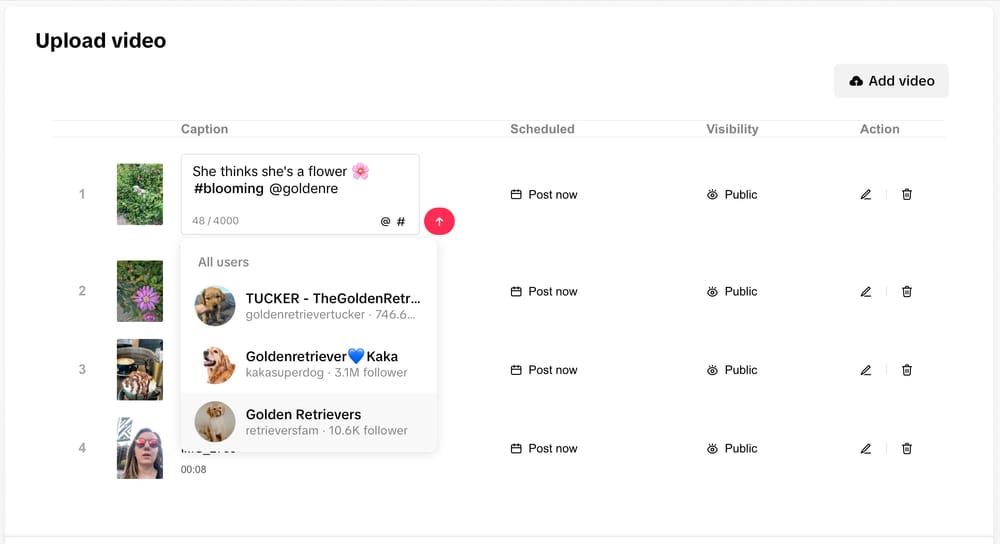 How to upload TikTok videos in bulk - Minter.io Analytics Blog ...