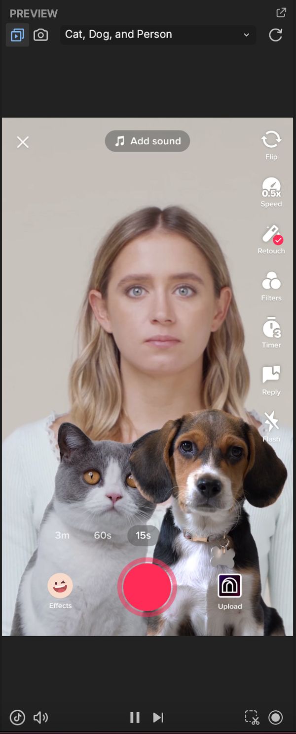 How to create your own TikTok filters - Minter.io Analytics Blog ...