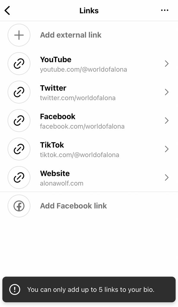How to add more links to your Instagram bio - Minter.io Analytics Blog ...