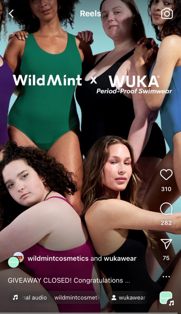 10 Fresh Instagram Tips Inspired by @wildmintcosmetics - Minter.io Analytics Blog: Insights for ...