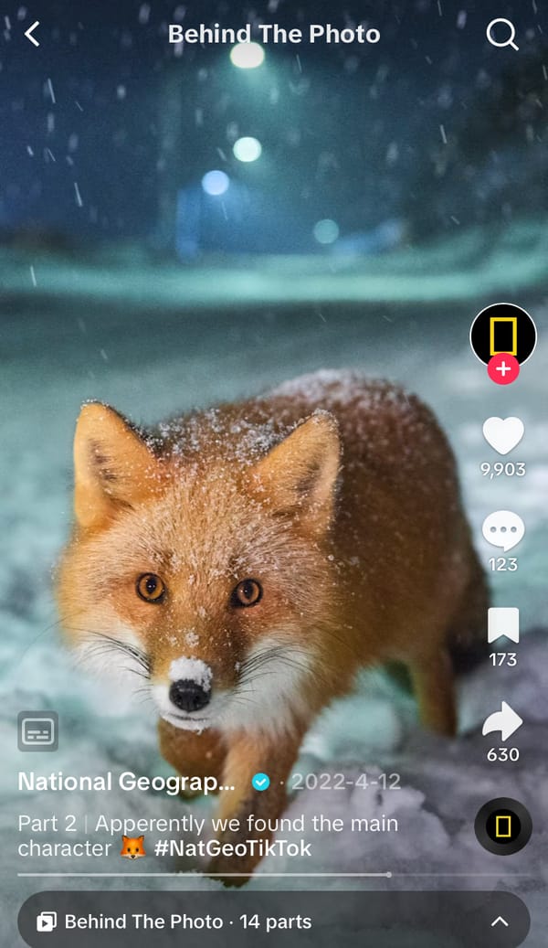 3 Unforgettable TikTok playlist ideas (and how to make your own ...